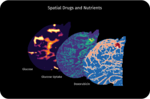 Technology – SimBioSys